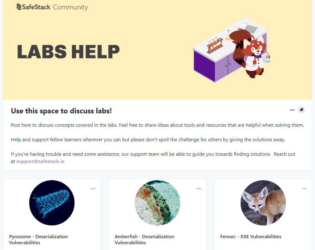Need help with labs?